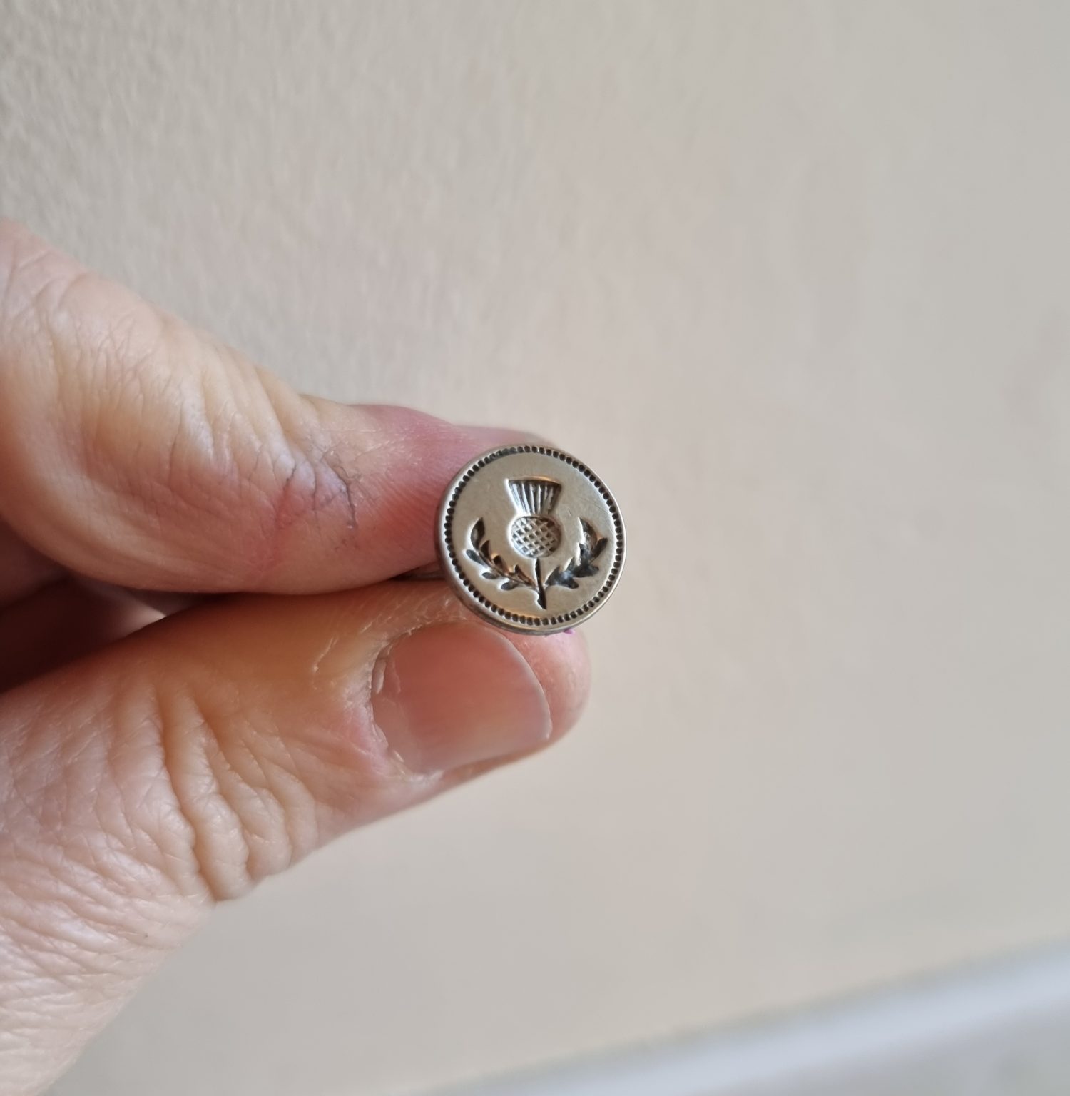 Scottish Thistle Talisman Pendant – Silverpickle